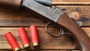 Pigeon Hunting: Everything You Need To Know – Pigeonpedia