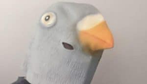 Pigeon Masks: 3 Best Buys To Become One Of The Japanese Bird People ...