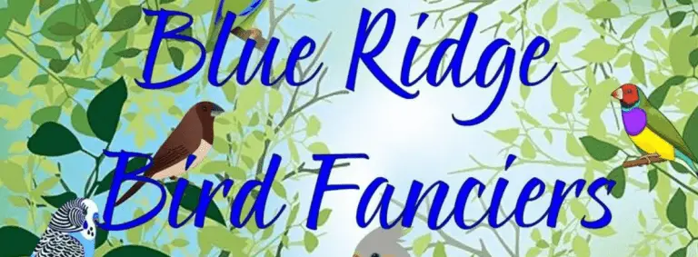 7 Places With Pigeons For Sale in Virginia – Pigeonpedia