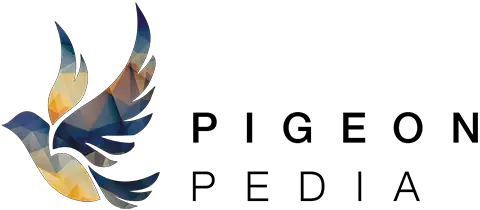 A Pigeon’s Beak: All You Need To Know + Common Problems – Pigeonpedia